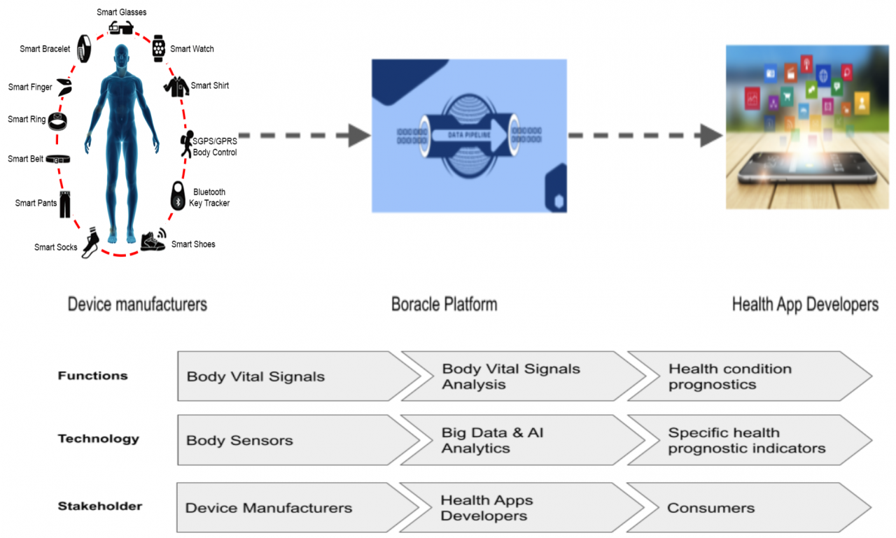 BORACLE - The Oracle for Your Body - CSUN ARCS